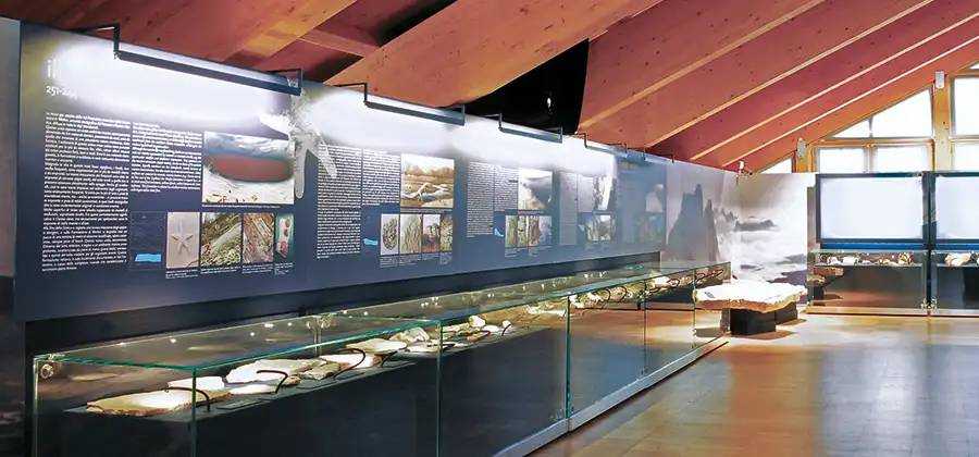 Museo Vittorino Cazzetta , orario di apertura