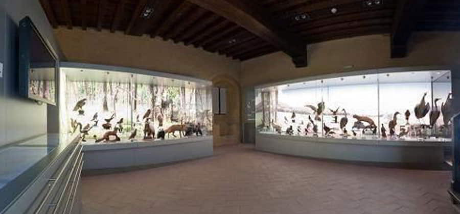Museo Naturalistico del Frignano F. Minghelli